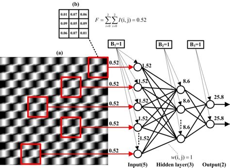 37 Output Of The Flocculus Network For A Pattern In Motion Download Scientific Diagram