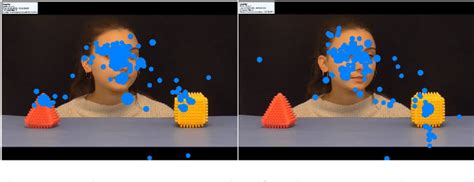 Figure 2 From Visual Attention Patterns During A Gaze Following Task In