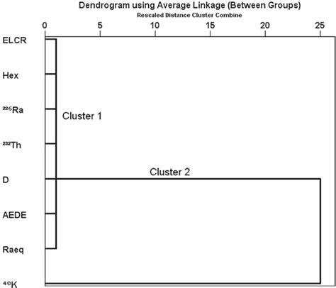 Dendrogram Of The Clustering Between Radiological Parameters Of The