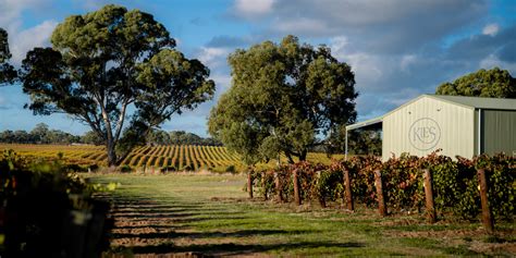 Blog Monkey Nut Cafe