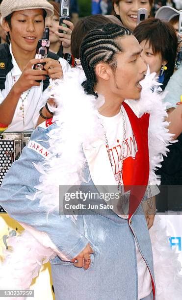 Zeebra Photos And Premium High Res Pictures Getty Images