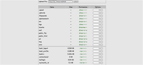 NEW Mini Web Shell New PHP Web Shell Wso Mini R C Wormshell