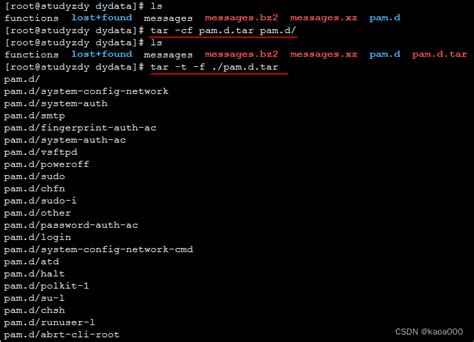 linux入门攻坚——8、磁盘管理——btrfs文件系统及压缩解压缩和归档 csdn博客