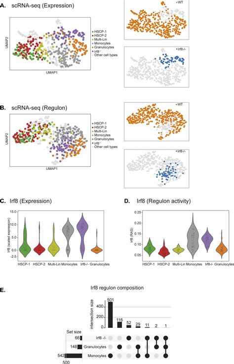 Predicting Gene Regulatory Networks From Cell Atlases Life Science Alliance