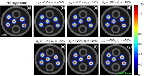 The Reconstructed Results Obtained By The Laplace With Weighted