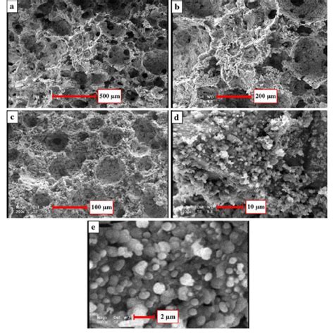 Pdf Preparation Of Nanostructure Hydroxyapatite Scaffold For Tissue Engineering Applications