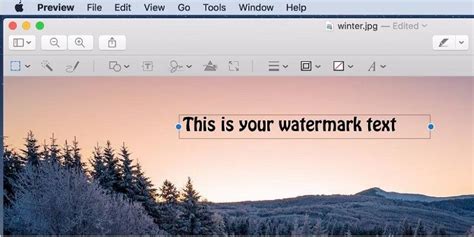 Top 5 Ways To Add Watermark To Photos In 2025