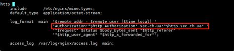 Nginx输出header到access日志文件nginx 日志打印header Csdn博客