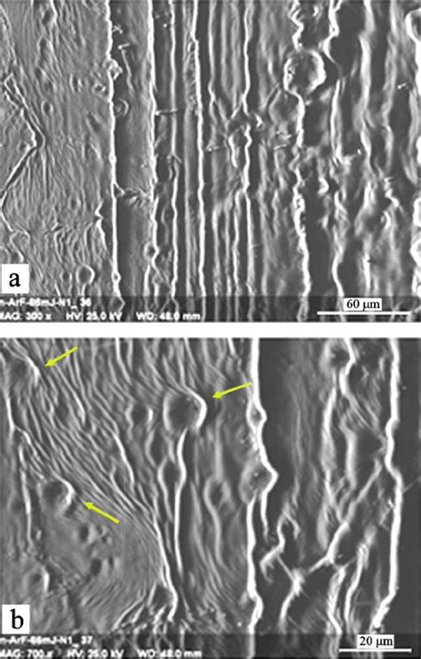 Color Online SEM Micrograph Of An In Surface Show Download Scientific Diagram