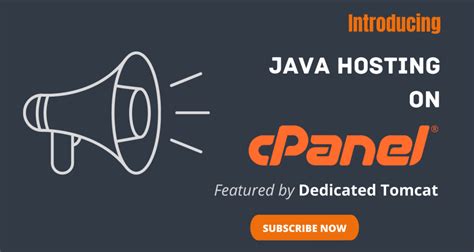 Java Hosting Web Application Deployment Using Cpanel