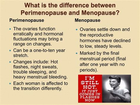 Chapter 20 Perimenopause And Menopause Ppt
