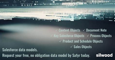 Salesforce Data Models Silwood Technology Limited