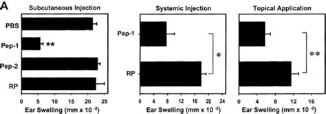 Impact Of Pep 1 On The Expression Of Contact Hypersensitivity Download Scientific Diagram