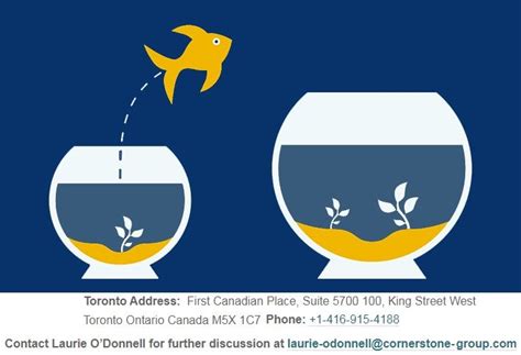 Software Testing Job Vacancies In Kochi