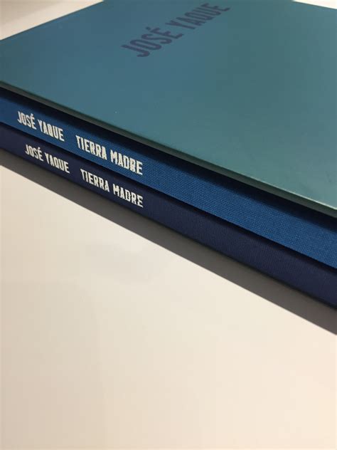 José Yaque 2017 — David Gill Gallery