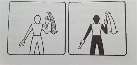 TC Signals Flashcards Quizlet