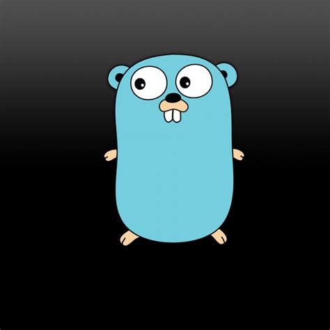 About Go Language — An Overview Learn About The Go Ecosystem And The By Inanc Gumus Learn