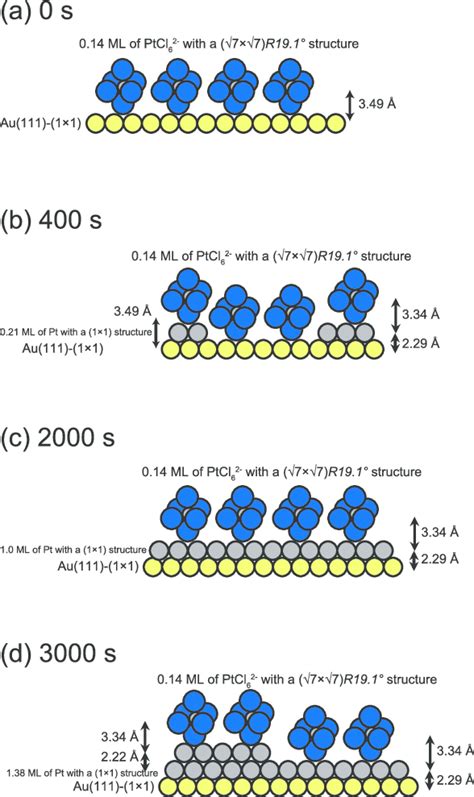 Color Online Schematic Illustrations Of Electrochemically Deposited