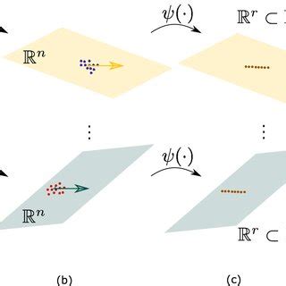 Transform S Rep Implied Boundary Points Red Points Of A Caudate Download Scientific Diagram