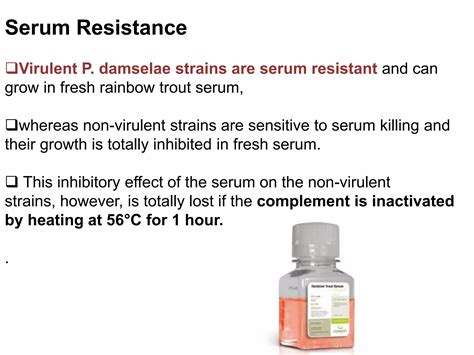 Pasteurellosis In Fish Pptx Blood Disorders Diseases And Conditions