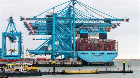 Apm Plans To Double Container Capacity At Rotterdam Terminal Journal Of Commerce