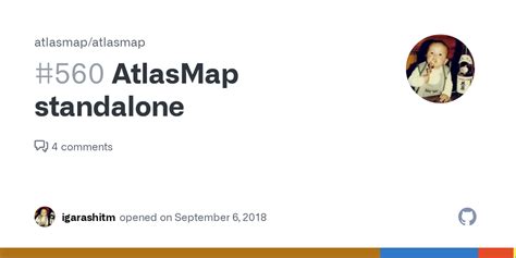 AtlasMap Standalone Issue Atlasmap Atlasmap GitHub
