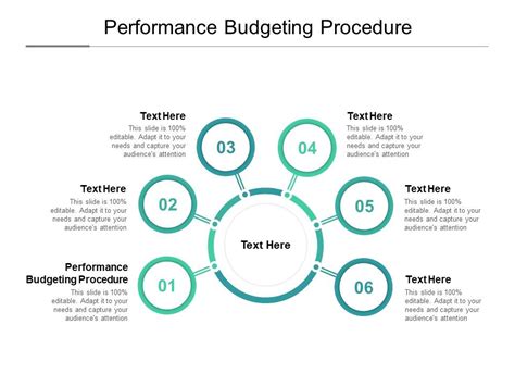 Performance Budgeting Procedure Ppt Powerpoint Presentation Ideas Guidelines Cpb
