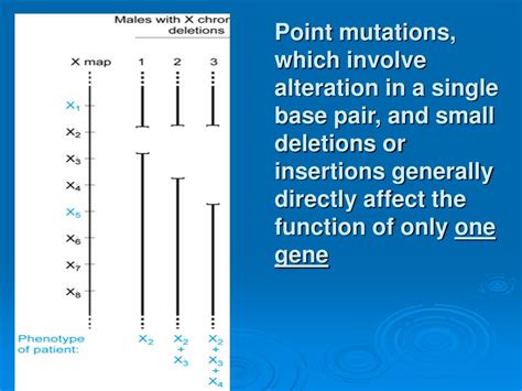 Ppt Different Classes Of Mutations Mutation Detection Powerpoint