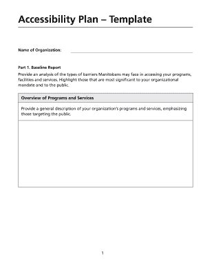 Accessibility Plan Template Fill Online Printable Fillable Blank PdfFiller