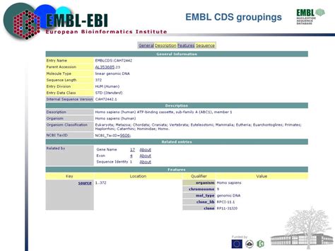Ppt The Embl Nucleotide Sequence Database Powerpoint Presentation Free Download Id 1489759