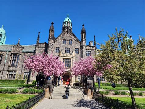 Nidhi Sachdeva Phd On Linkedin Redto24