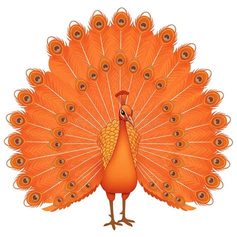 An Illustration Of A Stylized Orange Peacock With Fully Fanned Tail