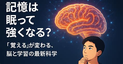 記憶は眠って強くなる？〜最新研究でわかってきた「シナプスと記憶のほんとうの関係」〜｜生活に論文を。