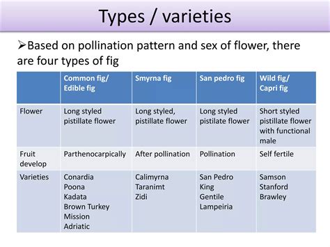 Cultivation Of Fig Pptx