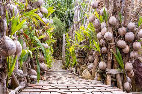 태국 아일랜드 코 팡 안의 열 대 해변에 오래 된 코코넛과 나무 다리의 벽 여행 컨셉 0명에 대한 스톡 사진 및 기타 이미지 0명 강 관광 Istock