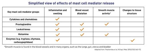 Health Professionals Mast Cell Action