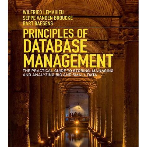 Jual Eng29 Principles Of Database Management The Practical Guide To Storing Managing And