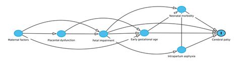 Directed Acyclic Graph Depicting Possible Antenatal Factors On Their