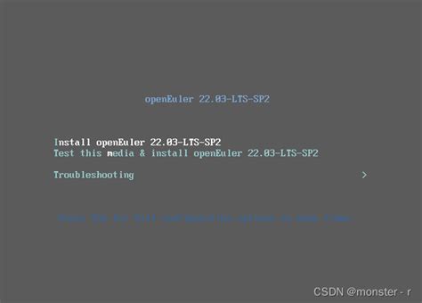Openeuler的安装和两台linux主机配置ssh实现互相免密登陆openeuler Ssh Csdn博客
