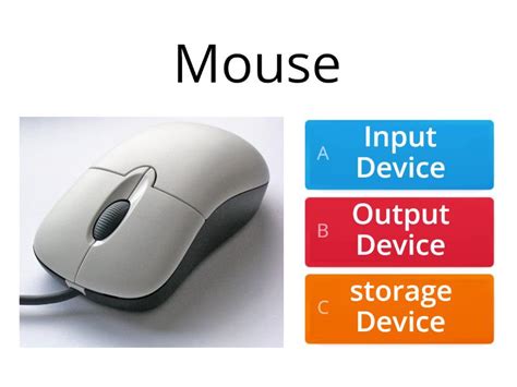 Grade 6 Input And Output Devices By Mmv Quiz