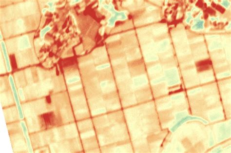 새팜 Saefarm 인공지능 Ai 분석 기반 작물 재배 가이드