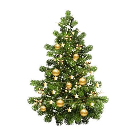 елка на прозрачном фоне 27 фото