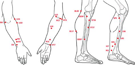 The Schematic Picture Of Acupoints In Our Study Download Scientific
