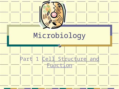 PPT Microbiology Part Cell Structure And Function A Common Cell Structures All Cells