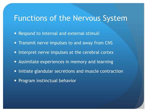 Ppt The Nervous System Powerpoint Presentation Free Download Id 1921420