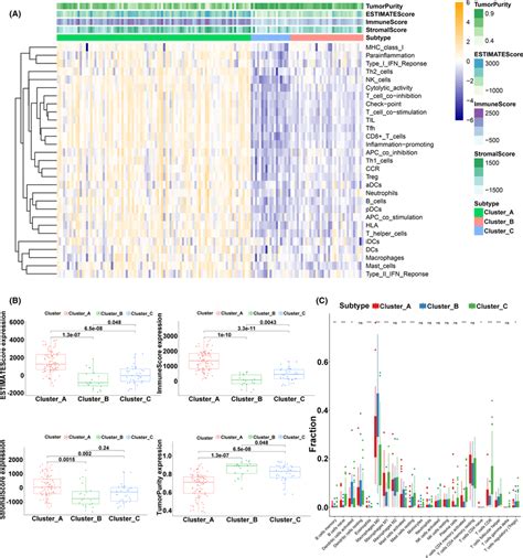 Immune Landscape Of Three Clusters A The Heatmap Of Immune Gene Sets Download Scientific