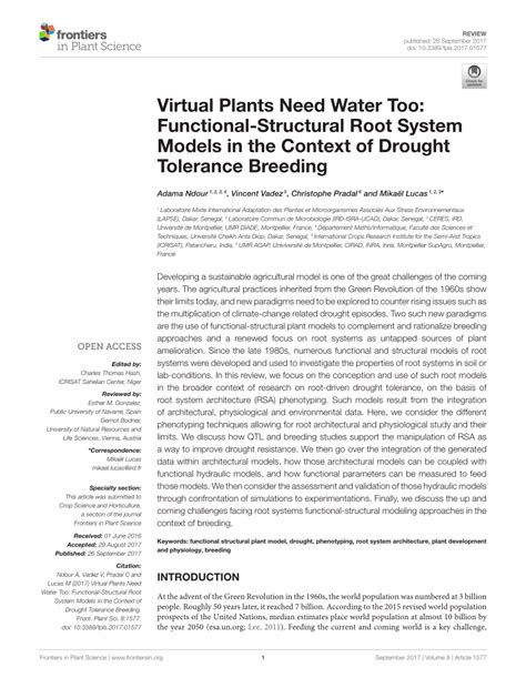 Pdf Virtual Plants Need Water Too Functional Structural Root System