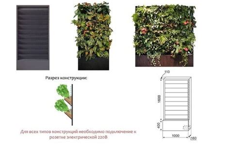 Системы вертикального озеленения | Летостудия