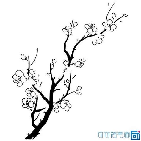 梅肉简笔画 简笔画图片大全 普车都