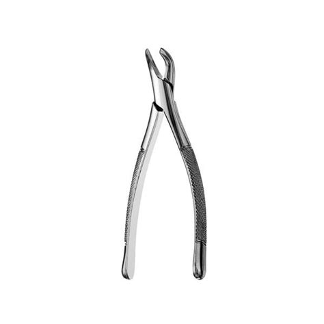 Extracting Forceps Lower Primary Teeth And Root F151s Dental Brands